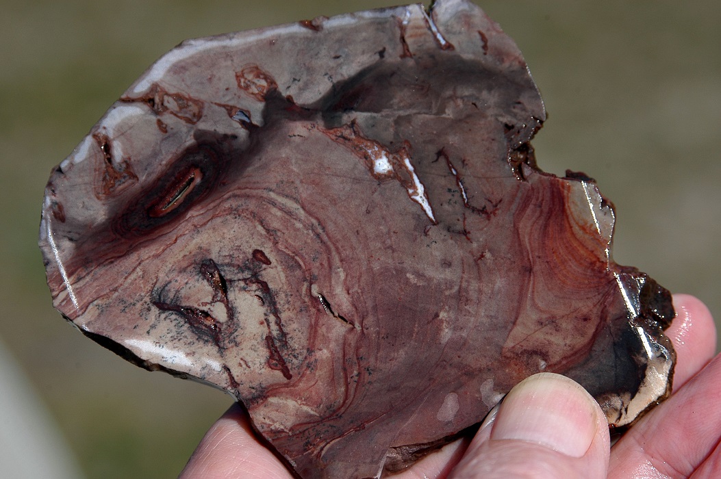 Puget Sound Knappers