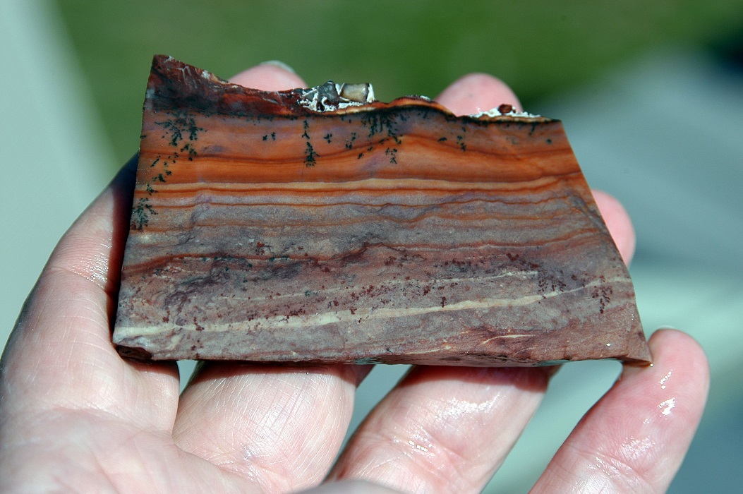 Puget Sound Knappers