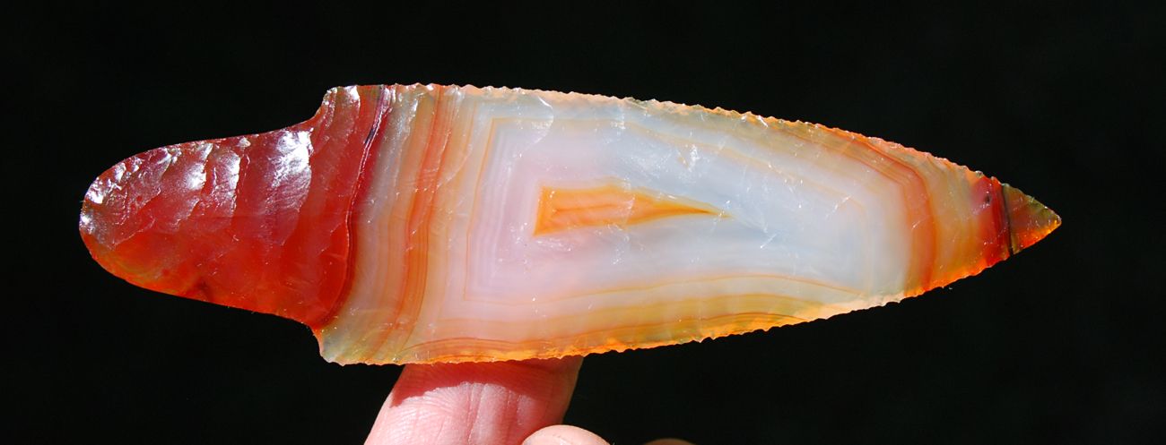 August 2020 Update from Jim Miller