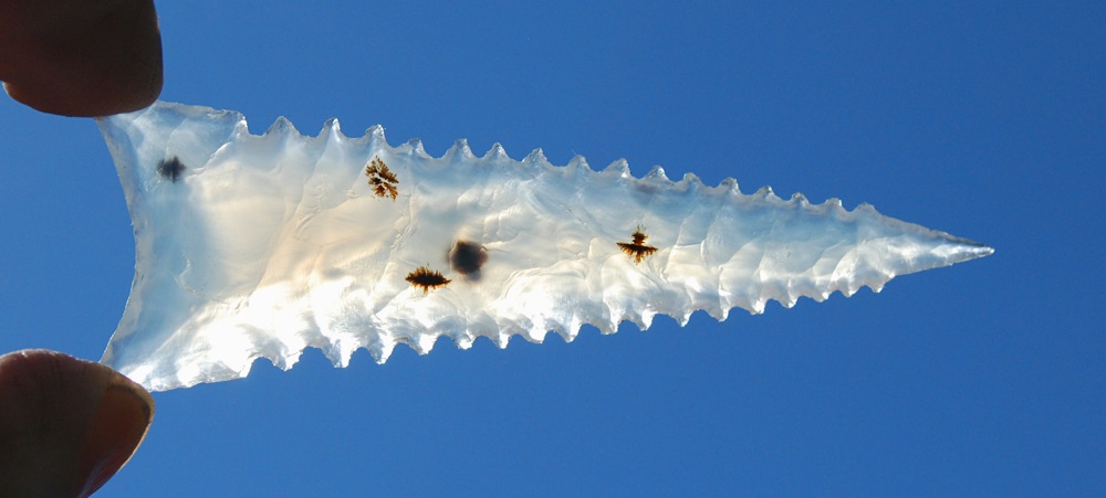 April 2021 Update from Jim Miller