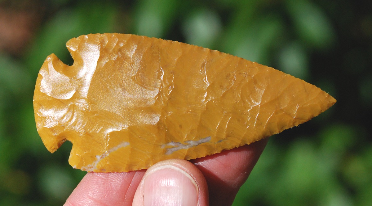 March 2022 Update from Jim Miller