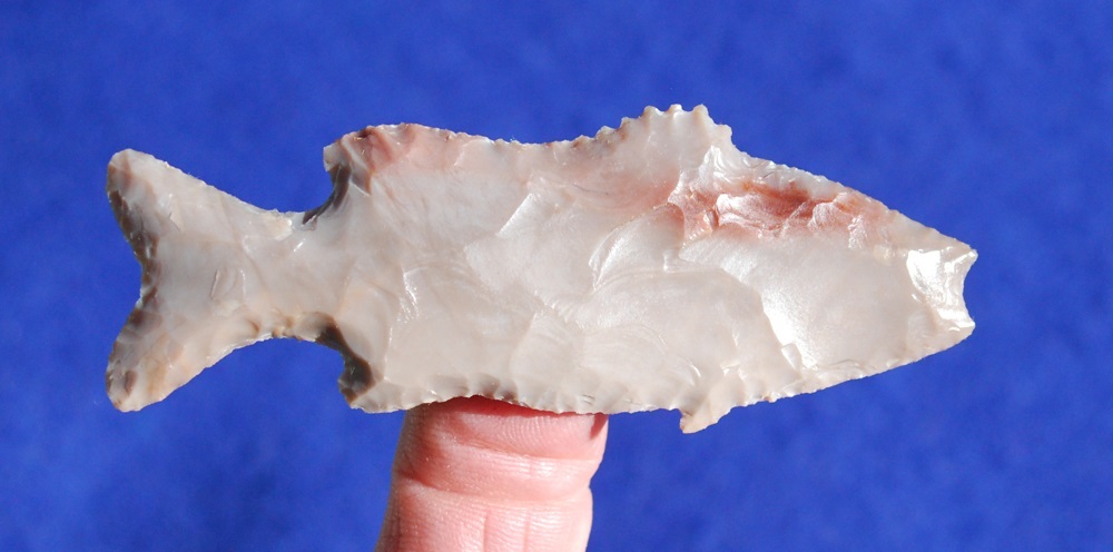 March 2022 Update from Jim Miller