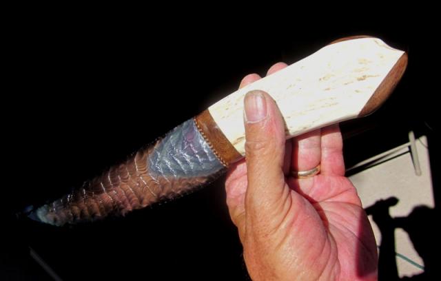 Rainbow obsidian, Davis Creek, CA with AZ Ironwood branch. 11"